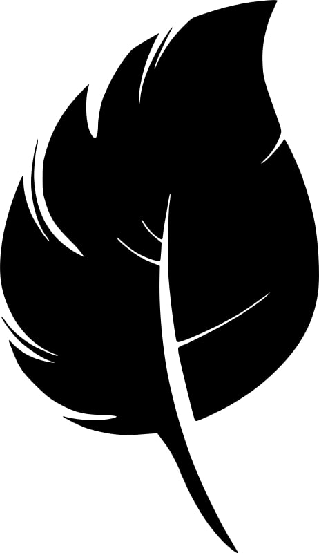 Feather Designs SVG: FREE Printables, Stencils, Silhouette