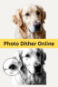 Free Dither Image Online — Convert Photos To Dithered Art